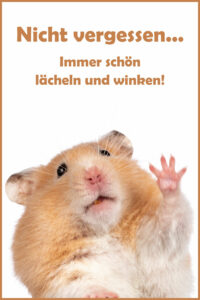 Schöne und lustige Hamster-Sprüche und Witze
